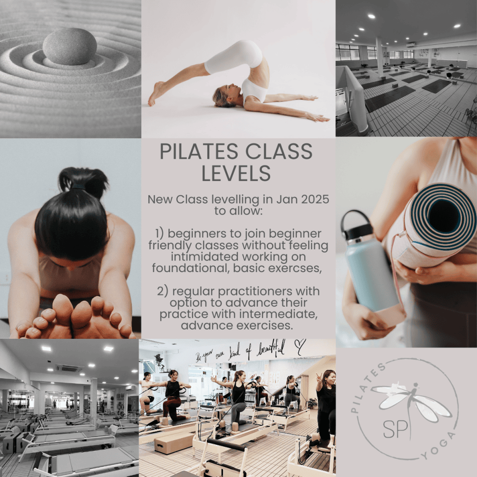 SP+ Pilates & Yoga - Positivity always! Progress over Perfection!